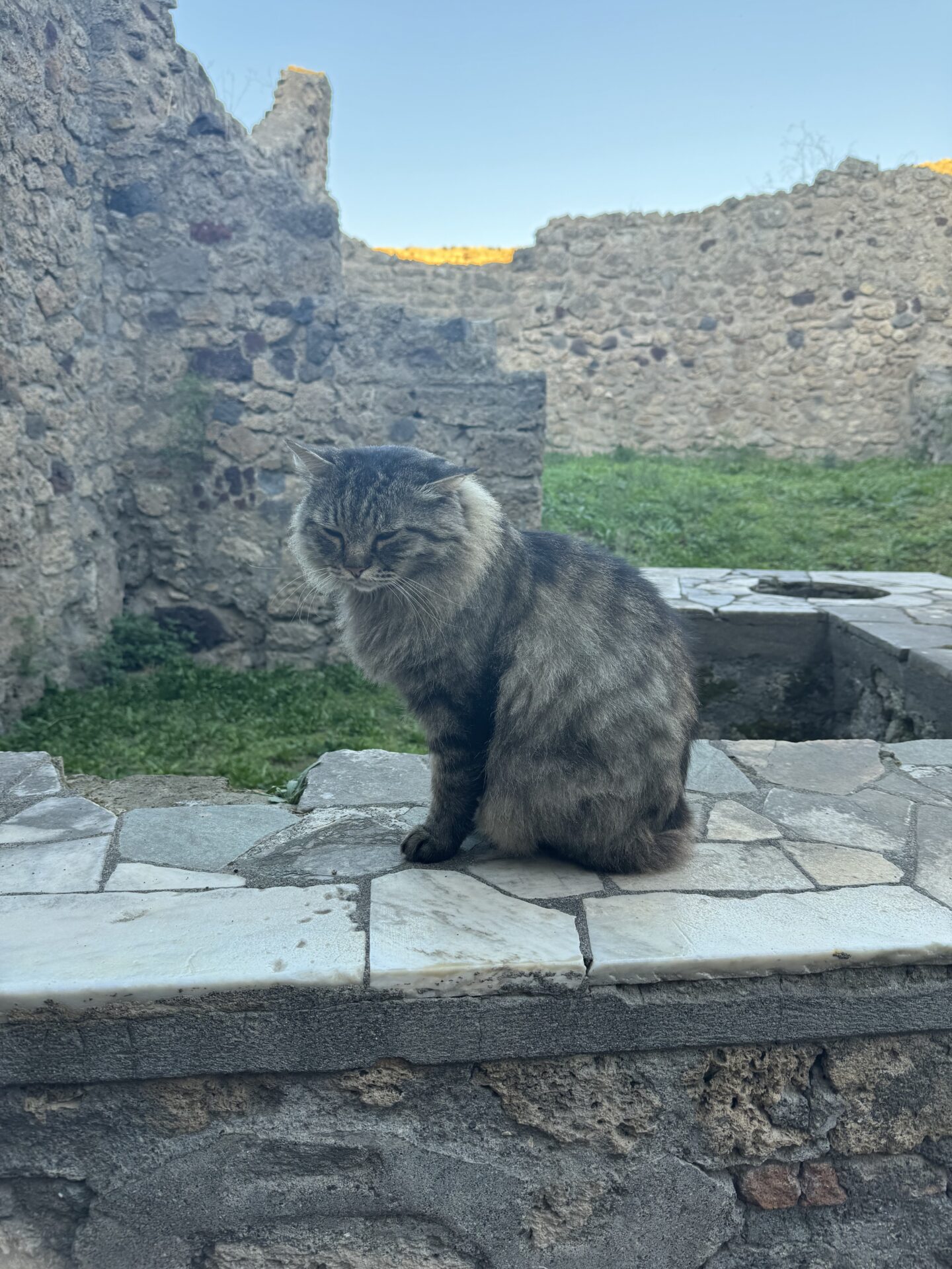 Pompeii Tour With An Archaeologist Review
